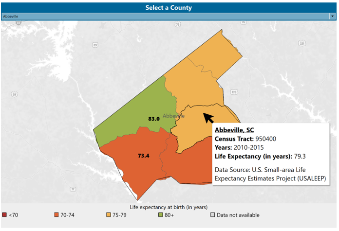 Navigating the Life Expectancy Dashboard | South Carolina Department of ...